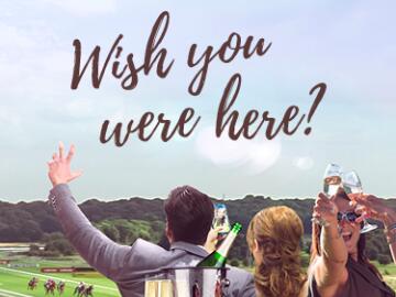 Bath Racecourse | Bath Races