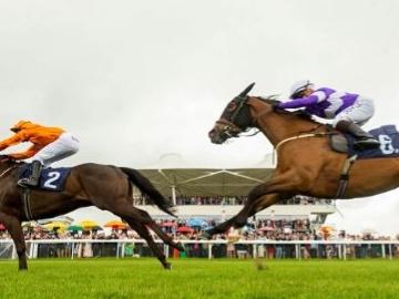 Bath Racecourse | Bath Races