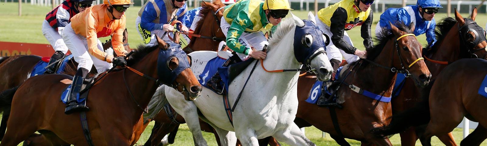 Annual Membership | Bath Racecourse